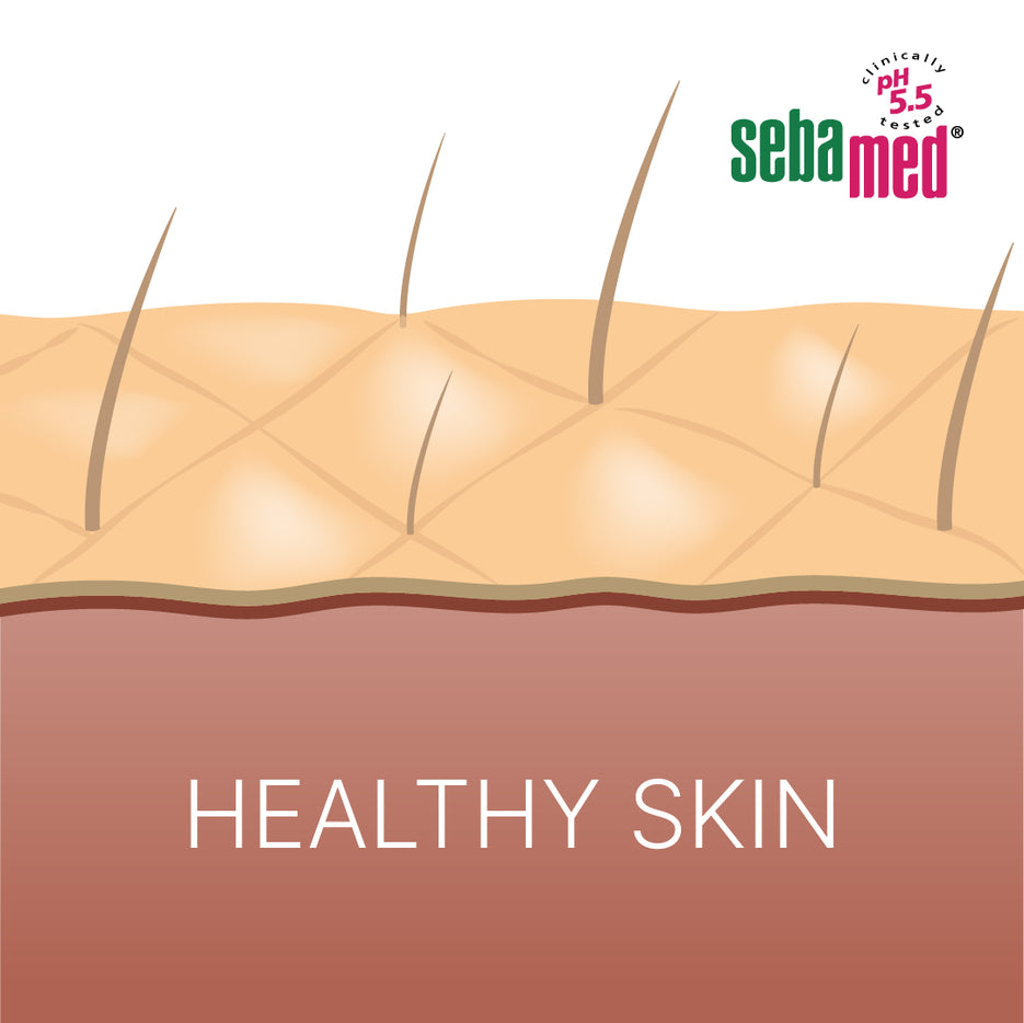 Learn about your skin – Sebamed UK